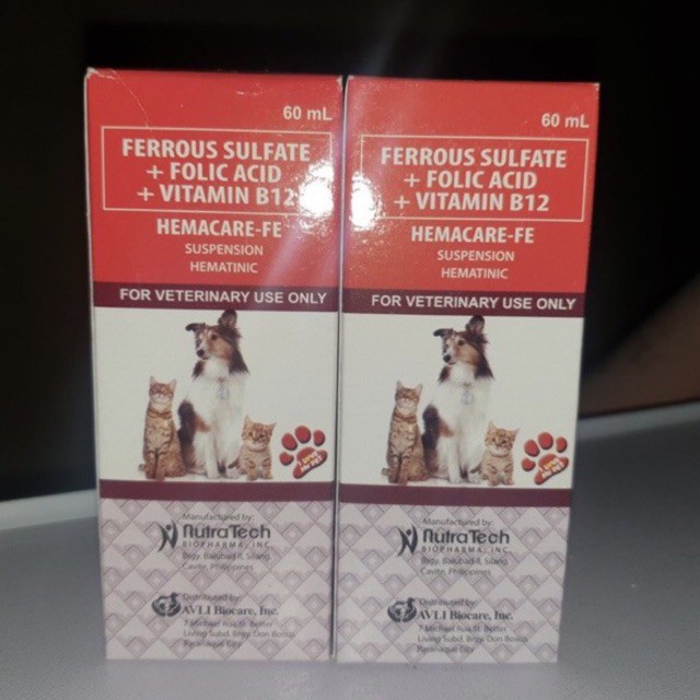 Can Dogs Take Ferrous Sulfate