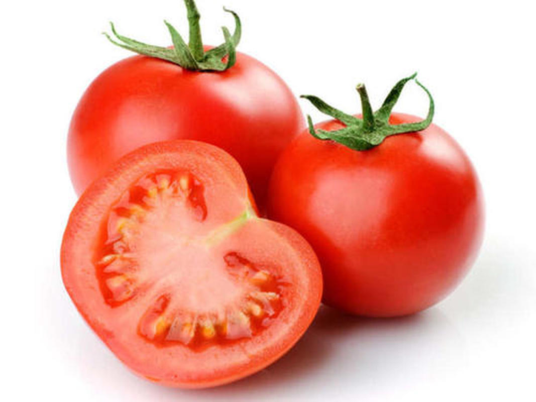 20pcs Kamatis Tomato Seeds Vegetable Seeds Fresh From Farm Seeds ...