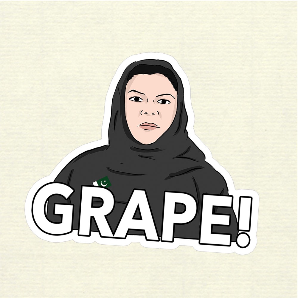 GRAPE MEME PAKISTAN IN THE BAG stickers | Shopee Philippines