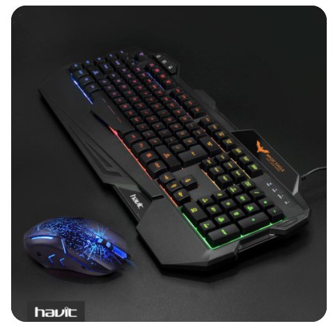 HAVIT LED Backlit Wired Gaming Keyboard and Mouse Combo | Shopee ...