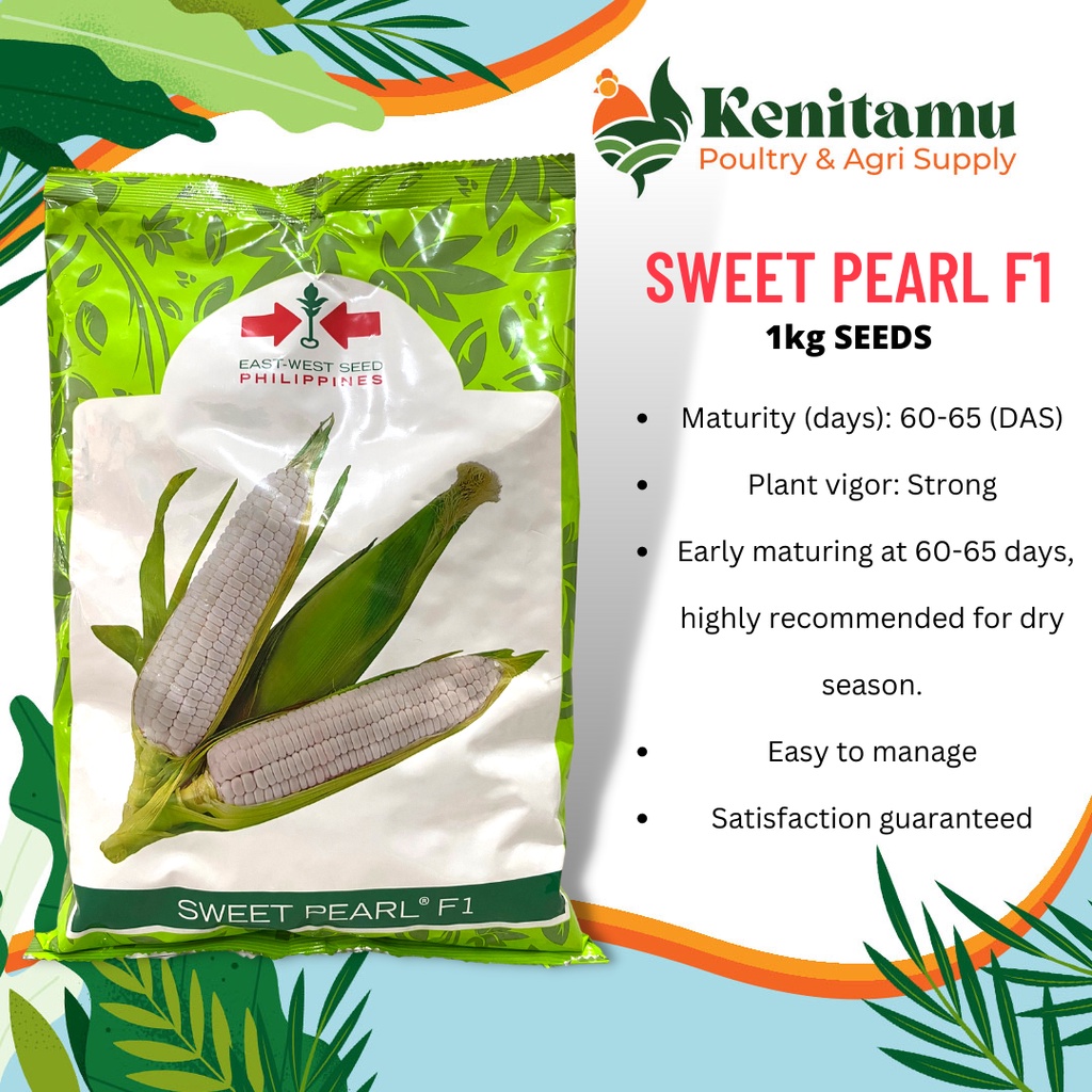 SWEET PEARL F1 WHITE CORN 1kg SEEDS BY: EASTWEST SEEDS | Shopee Philippines