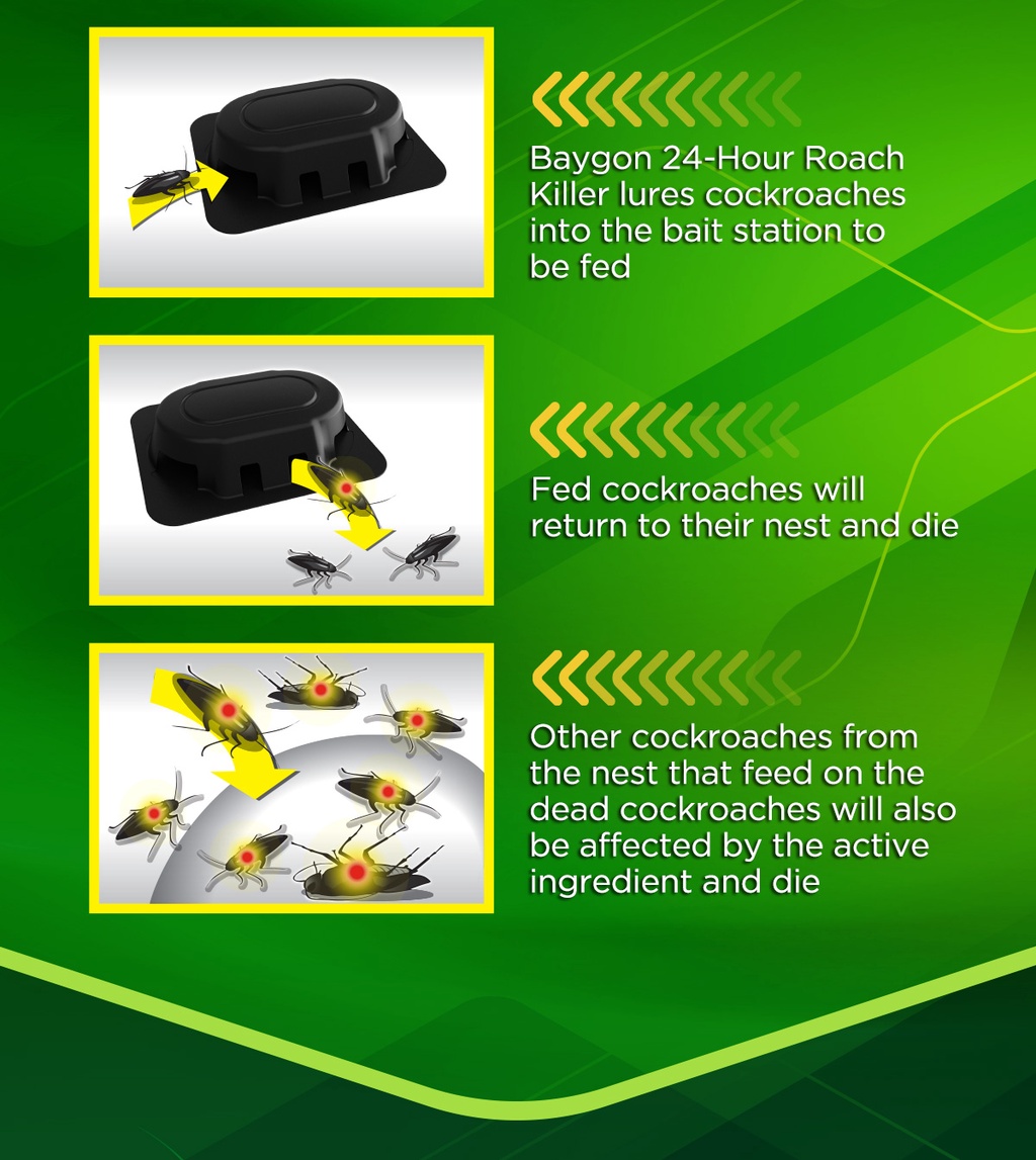 Baygon 24-Hour Roach Killer | Shopee Philippines