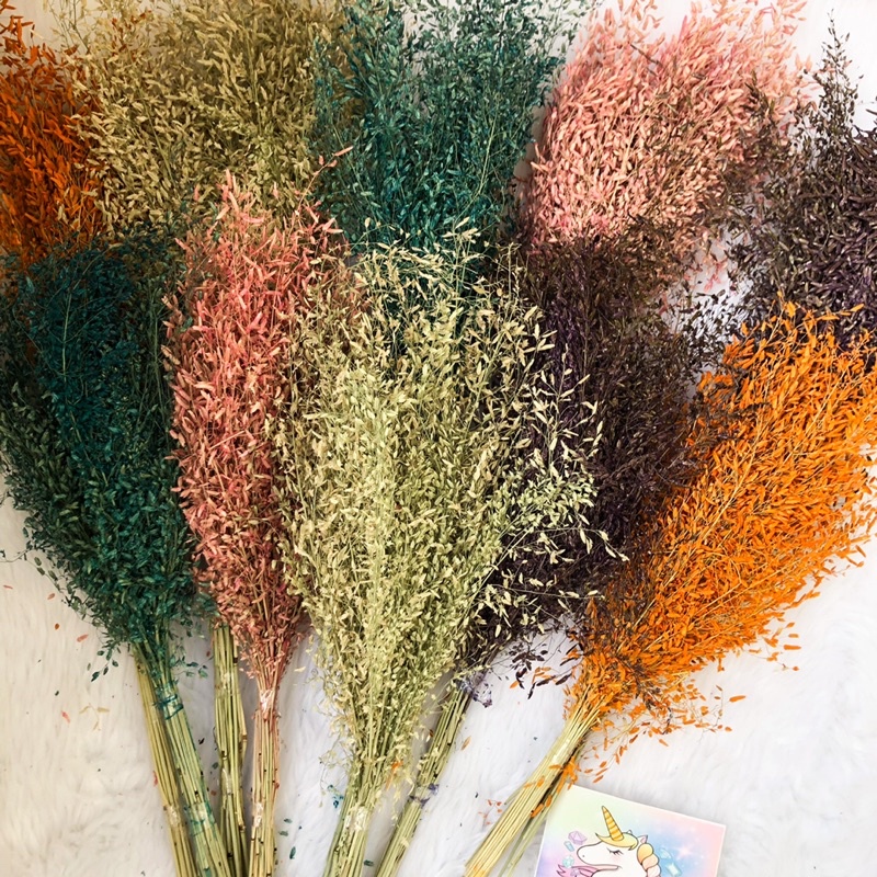 Dried Colorful Misty (whole bunch) | Shopee Philippines