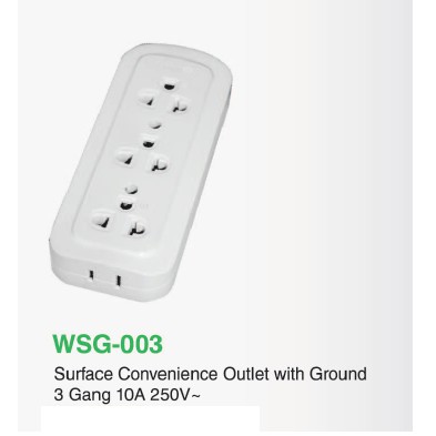 Omni 3 Gang Universal Outlet With Ground Extension 10A 250V WSG003 ...