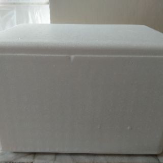 styro box - Prices and Online Deals - Aug 2021 | Shopee Philippines