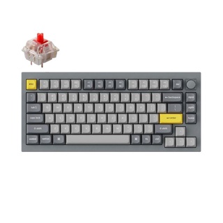 Keychron Q1 Knob QMK Mechanical Keyboard (Silver Grey, 75%, Wired, RGB, Aluminum, HotSwap, QMK ...