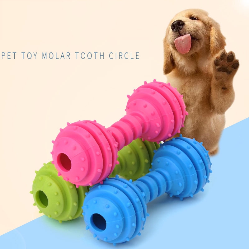 Pet TPR toy dog chew bone toy barbell molar stick sounding toy | Shopee Philippines