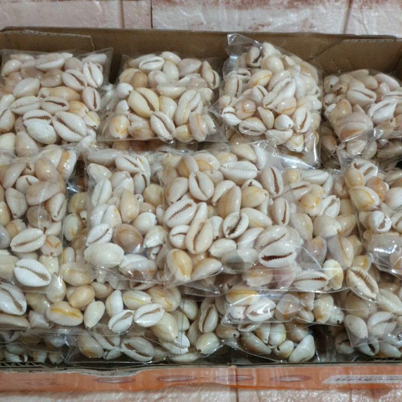 Sigay / Shell for Sungka 50 Pcs | Shopee Philippines