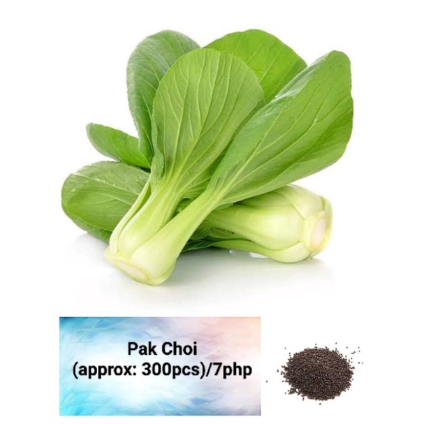 Green Pak Choi Seeds (approx: 300pcs) | Shopee Philippines