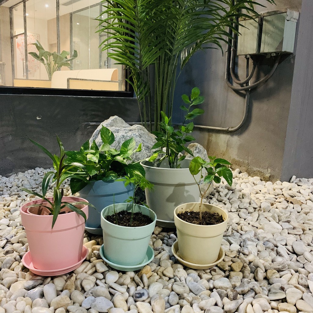 (XL) European style imitation ceramic plastic flower pots, plant pots ...