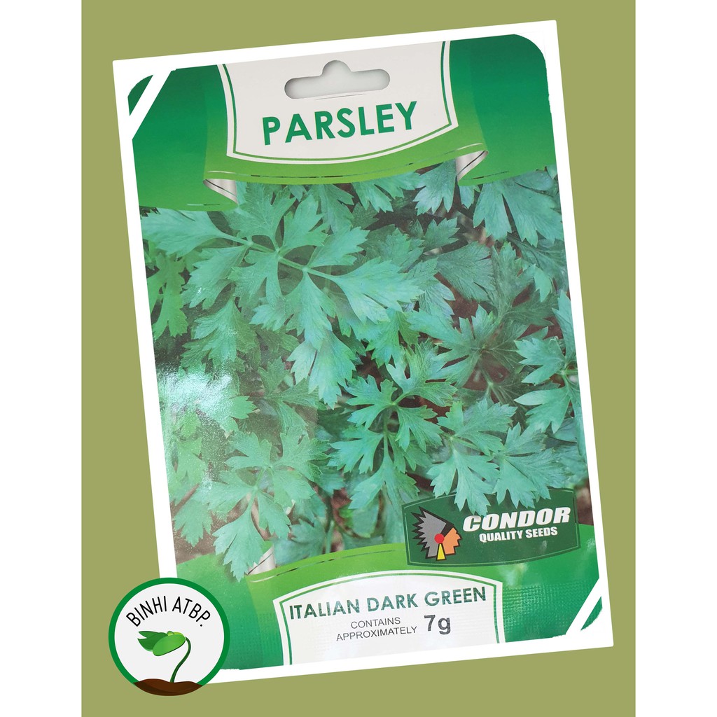Condor Italian Flat Leaf Parsley Herb Seeds (7 Gr Pack) | Shopee Philippines