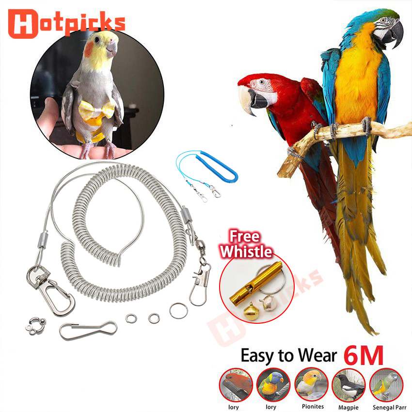 【Hotpicks】6M Flexible Bird Leash with Leg Ring Ultra-light Parrot Bird ...