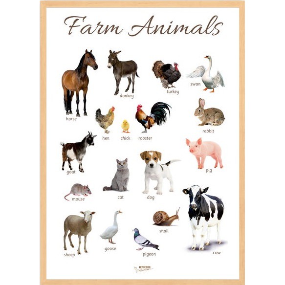 Common Animals Chart