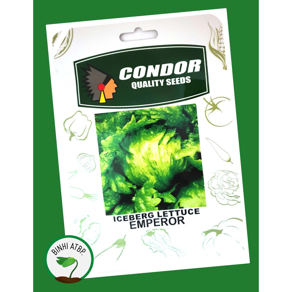 Condor Iceberg Lettuce Emperor Seeds (1 Gr Pack) | Shopee Philippines