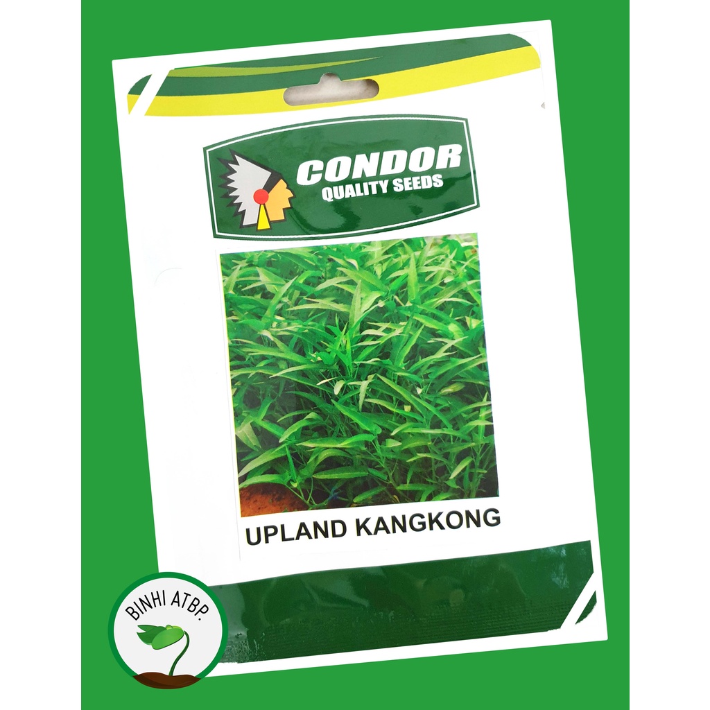 Condor Upland Kangkong (Chinese Water Spinach) Seeds (10 Gr Pack ...