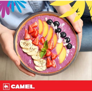 Camel blender CBL1060P | Shopee Philippines