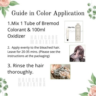 9.17 LIGHT RICE ASH BUNDLE! Bremod Premium Series Hair Color with Hair ...
