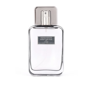 Penshoppe Elements Ice Eau De Toilette For Men 70ML | Shopee Philippines