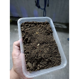 Terra Box, Online Shop | Shopee Philippines