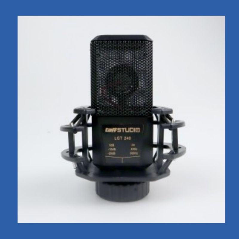 Professional Recording Condenser Microphone - Black | Shopee Philippines