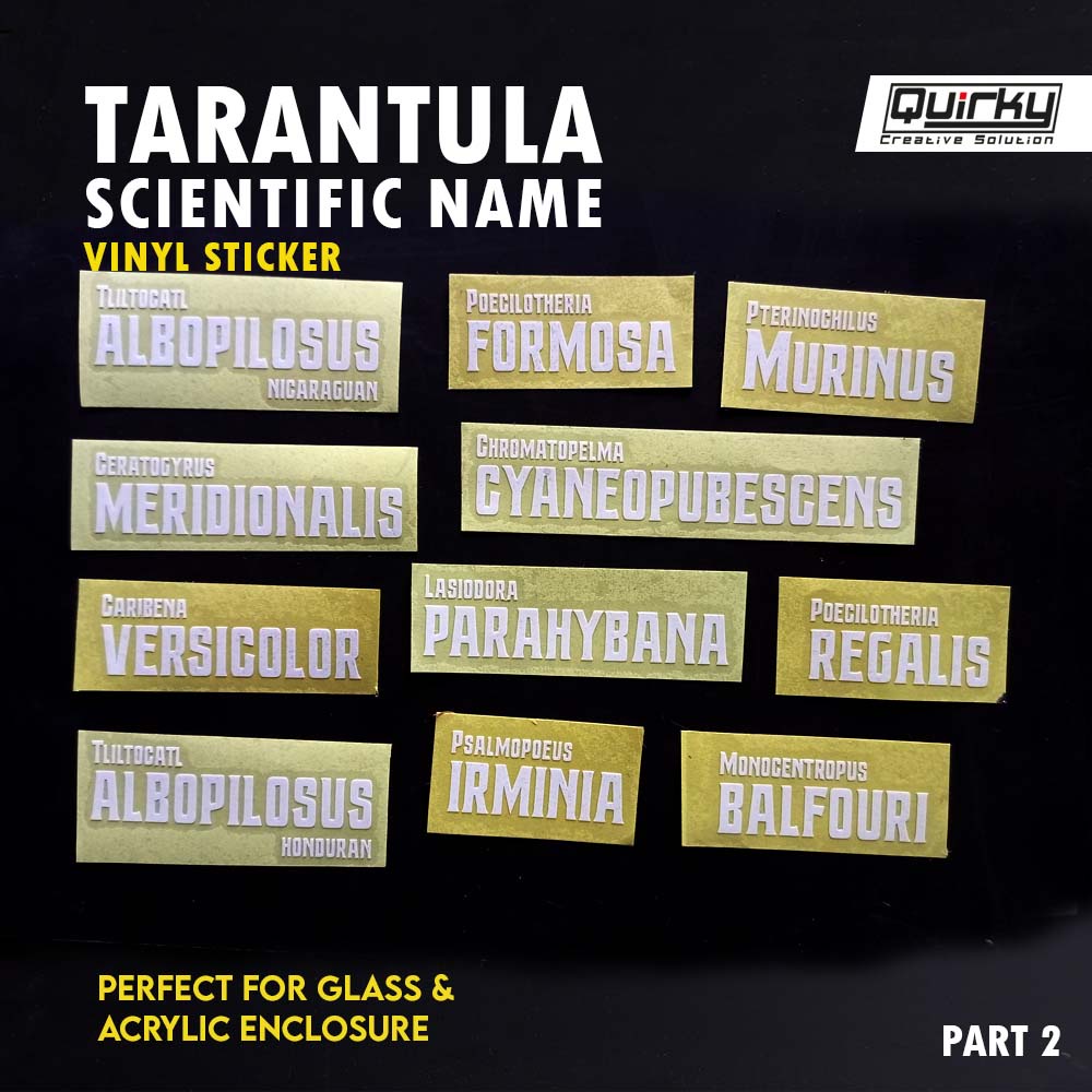 Tarantula Label ID Scientific name - Cut out sticker for Glass and ...