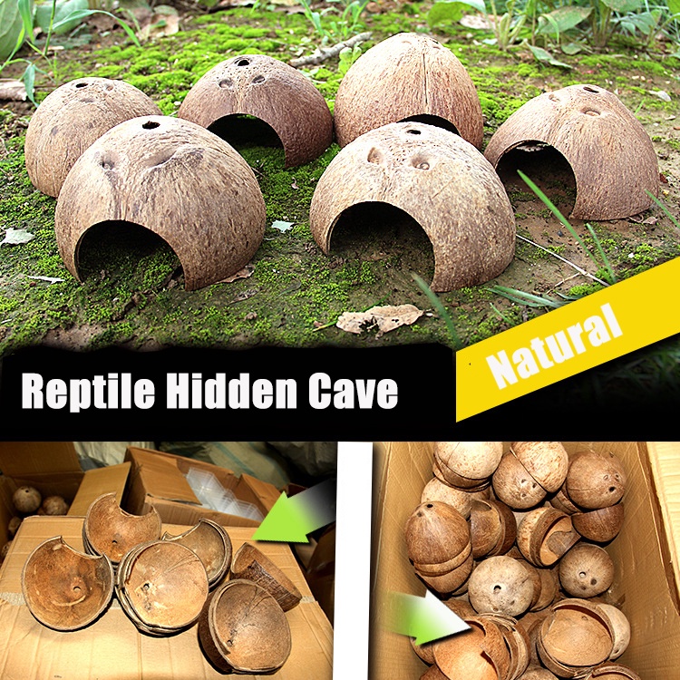 2022 NEW Reptile Hidden Cave Natural Coconut Shell Lizard Gecko Spider ...