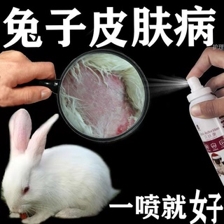 Rabbit Skin Disease Medicine Mites Fungal Infection Hair Removal Loss ...