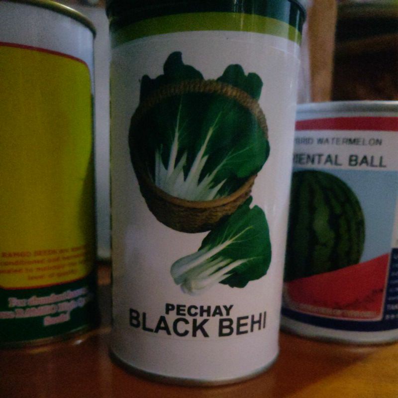 PECHAY SEEDS BLACK BEHI 100G CONDOR SEEDS VEGETABLE SEEDS | Shopee ...