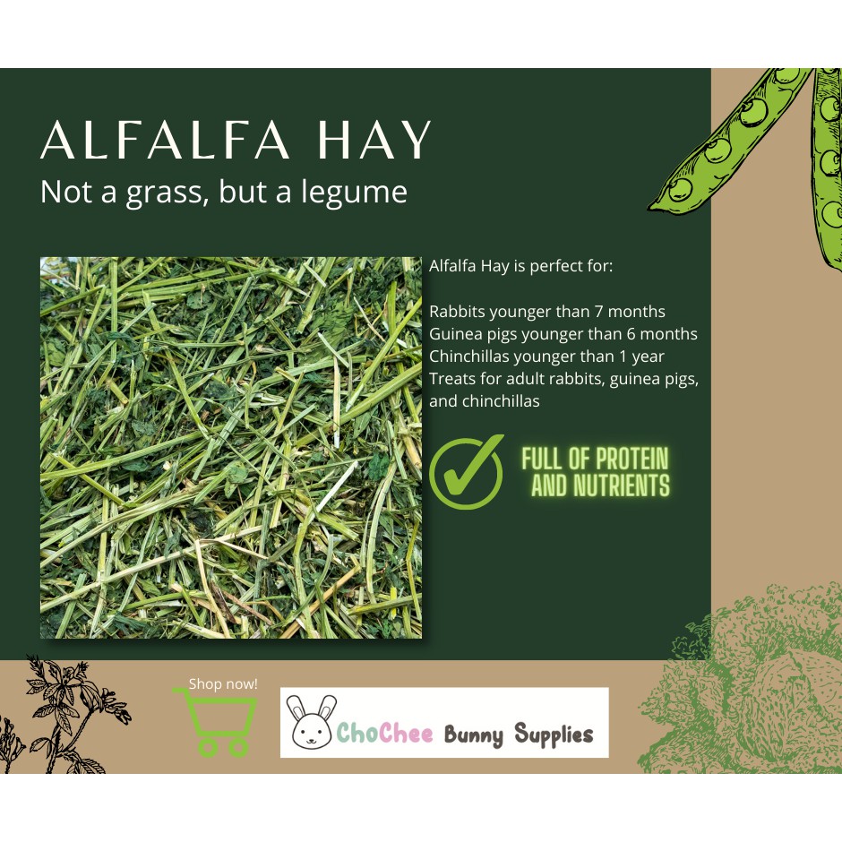 Alfalfa Hay For Rabbits