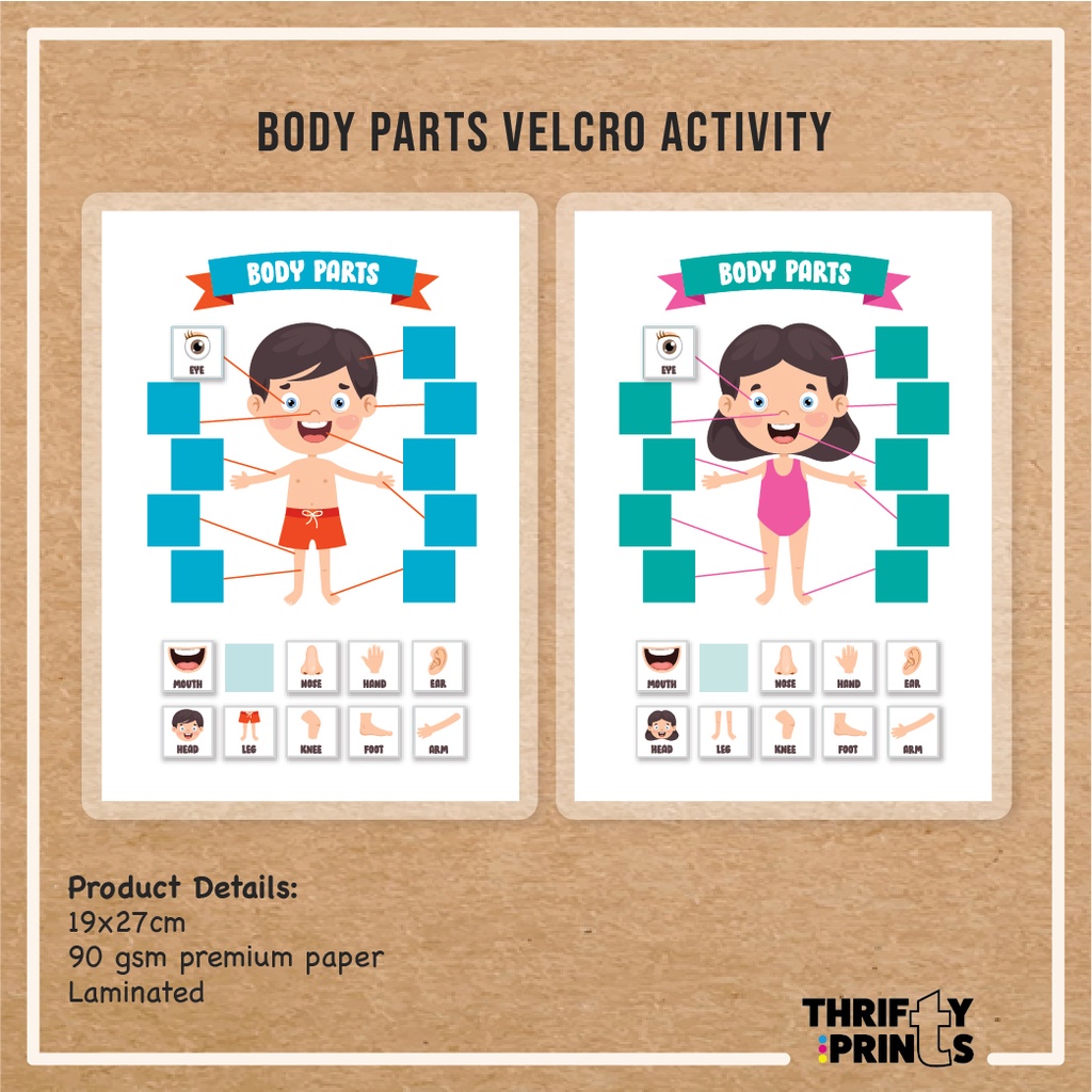 Body Parts Matching Laminated With Velcro Learning Material Activity ...