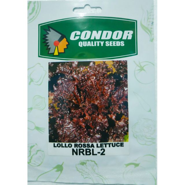 LOLLO ROSSA NRBL-2 VARIETY DEEP RED LETTUCE 1 GRAM 1000-1300 SEEDS ...