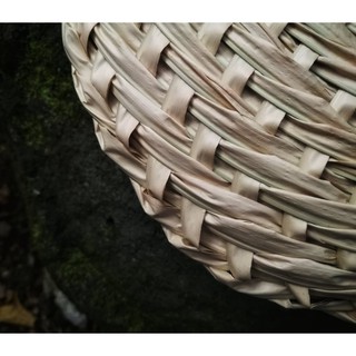 Native Fan Abaniko Anahaw Pamaypay Bicol Small Medium Large XL Abaniko ...