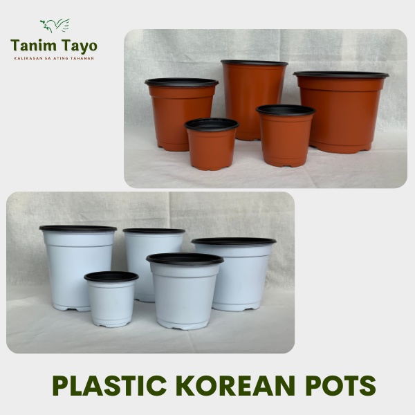 Plastic Flower Pot, PVC Korean Pot, Nursery Pots for Transplanting ...
