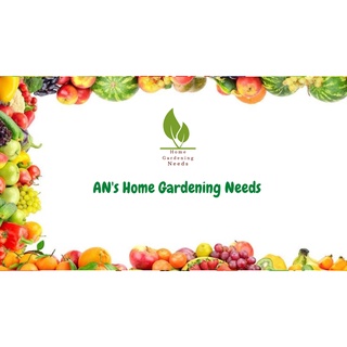 SITAO/BEANS SEEDS - SITAO BATAW PATANI SIGARILYAS BAGUIO BEANS | Shopee ...