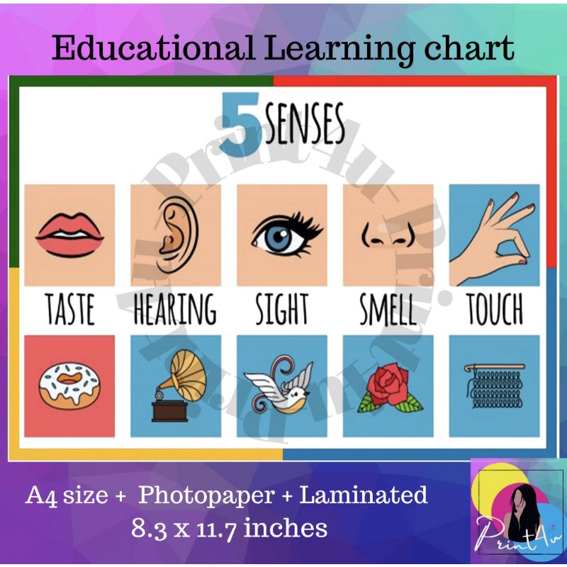 5 senses laminated learning chart for kids - print4u | Shopee Philippines