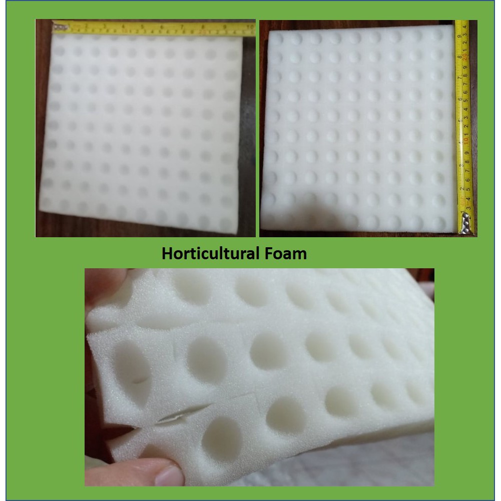 Horticultural Foam/ Grow Medium / Hydroponics 50/100 cubes | Shopee ...