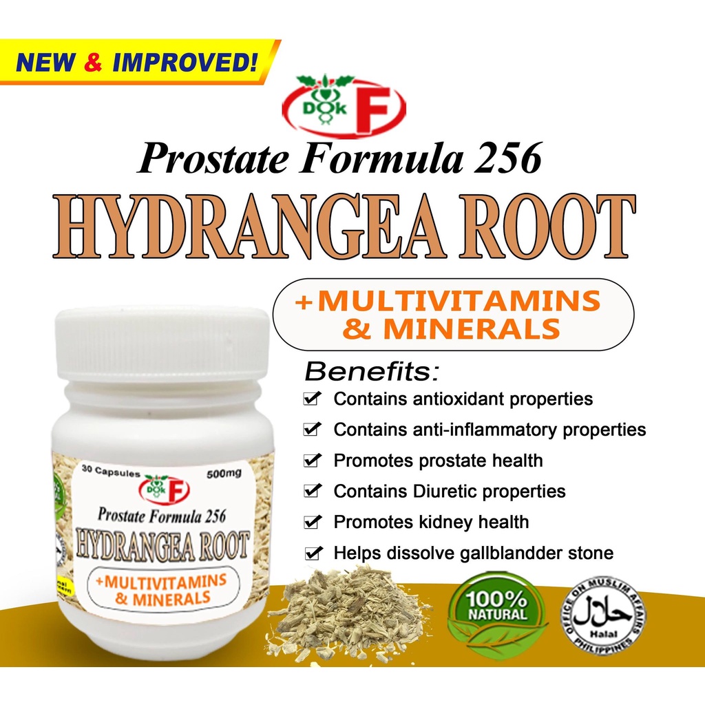 PROSTATE FORMULA 256 HYDRANGEA ROOT CAPSULES | Shopee Philippines