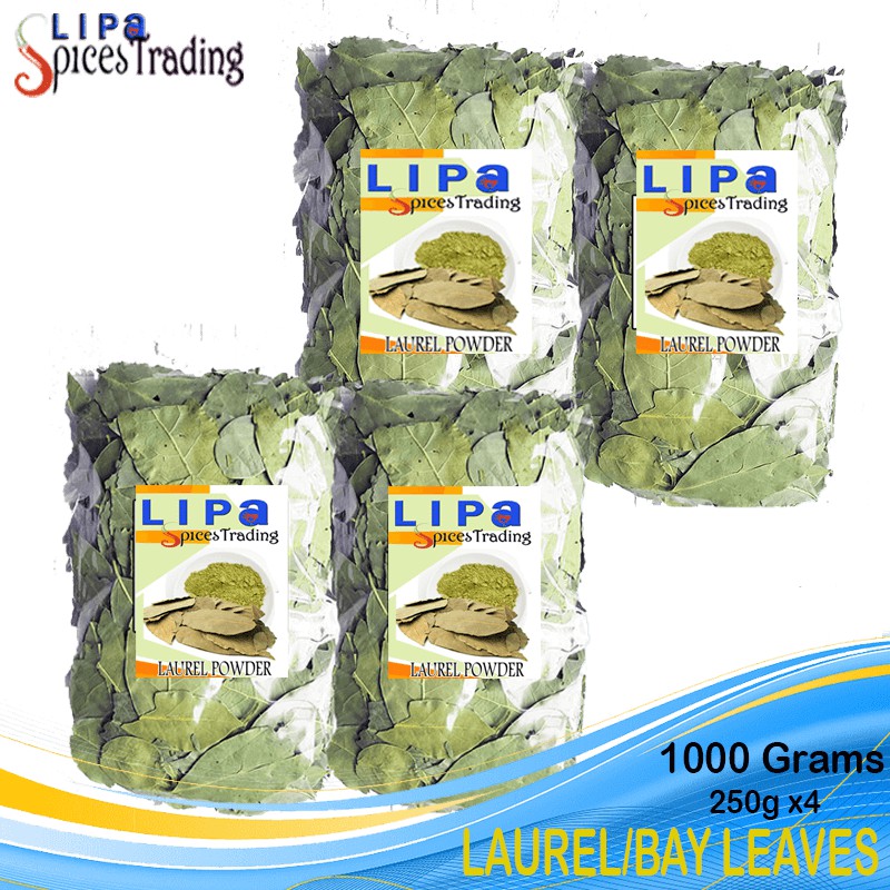 Lipa Spices Trading Laurel Leaves Bay Leaves Dahon ng Laurel ((HINDI ...