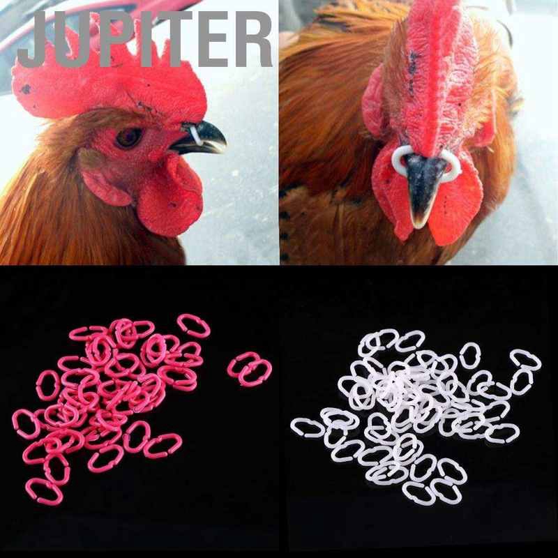 Jupiter 50 Pcs Chicken Beak Clasps Cock Snap Rings Anti-pecking Poultry ...