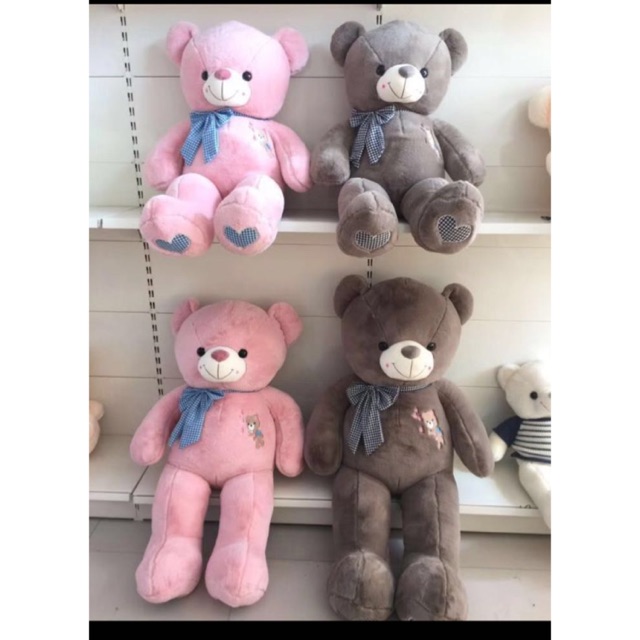 korean Teddy bear good quality restock human size | Shopee Philippines