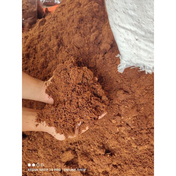 11.11 Mega Sale BUY 1 TAKE 1 1KG COCOPEAT / KUSOT / BUNOT NG NIYOG ...