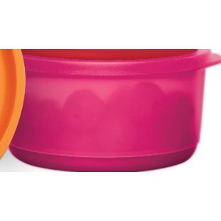 Tupperware Food Storage Medium Go Rounds 530ml | Lazada PH