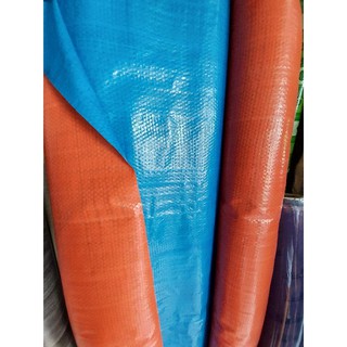 Trapal Sakolin 8ft width Lona for tent | Shopee Philippines