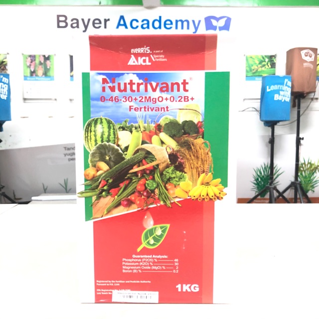 NUTRIVANT HIGH PHOSPHORUS AND POTASSIUM WITH MAGNESIUM AND BORON FOLIAR ...