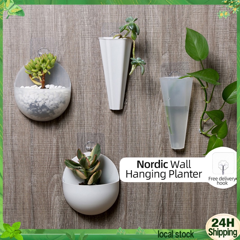 Plant Pot With Hook Wall Pots For Plants Nail Free Hydroponic Indoor ...