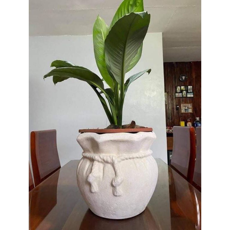 Bag Pot (Large) (Fiber stonecast) (bigpots) | Shopee Philippines