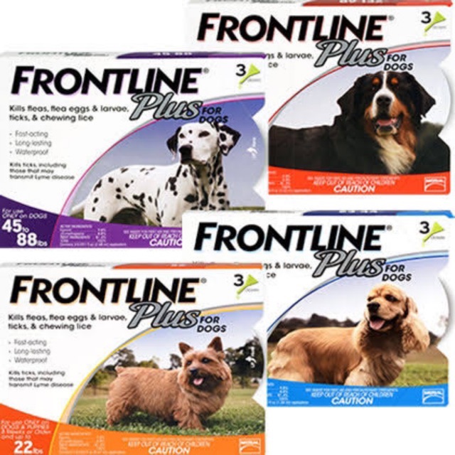 Frontline Plus Flea And Tick Dog Treatment 45-88 Lb, Doses