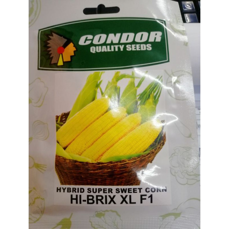 HYBRID SUPER SWEET CORN HI BRIX F1 | Shopee Philippines