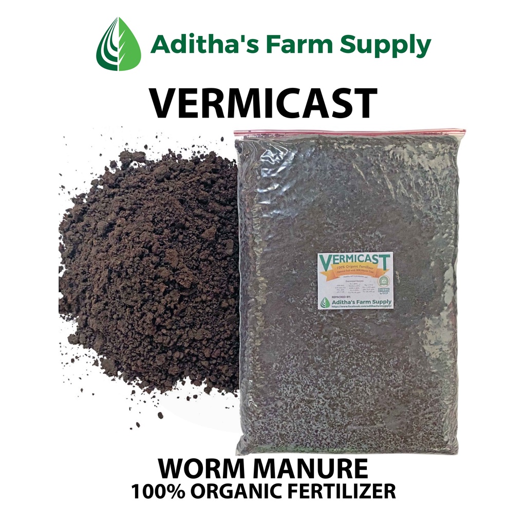 1 Kg Certified High Quality Vermicast - Worm Manure (100% Organic) by ...