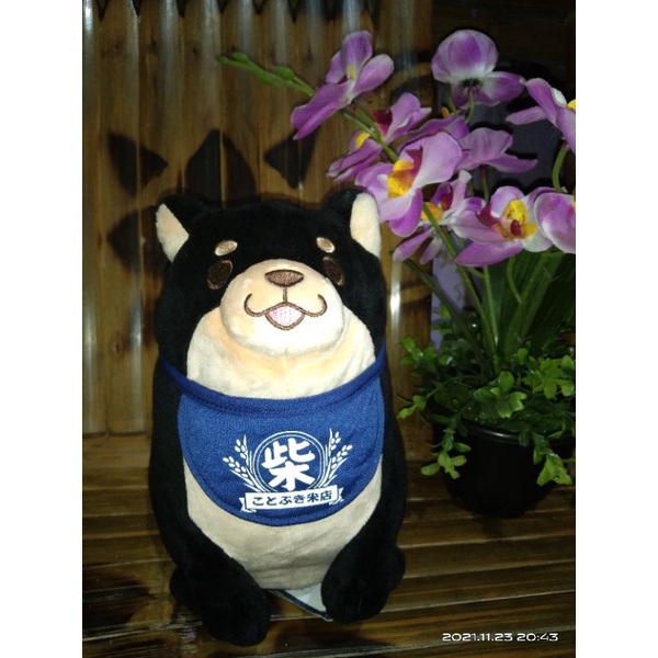 Shiba SK Japan Dog and kitkat Character Stufftoys | Shopee Philippines